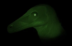 Tsaagan (Desolation) | Jurassic Park Fanon Wiki | Fandom