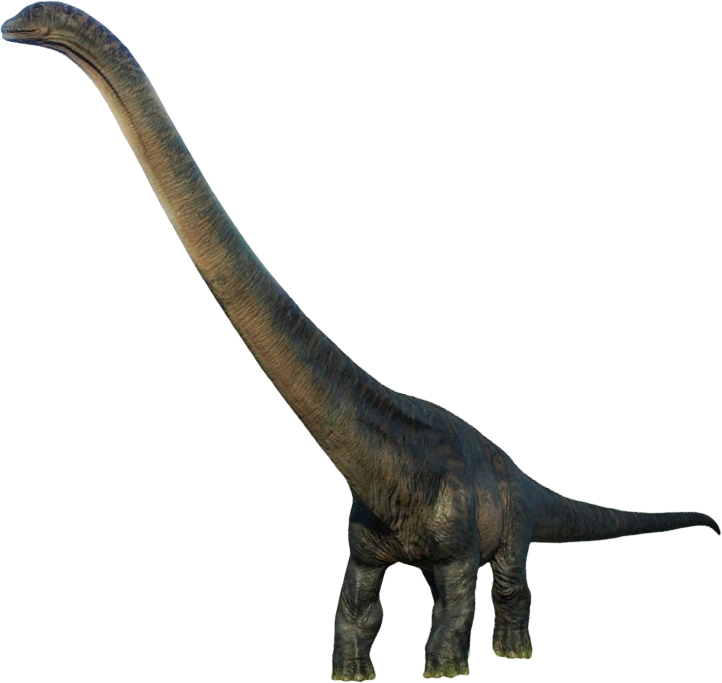 Dreadnoughtus ('65) | Jurassic Park Fanon Wiki | Fandom