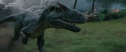 Allosaurus (ReGenesis) | Jurassic Park Fanon Wiki | Fandom