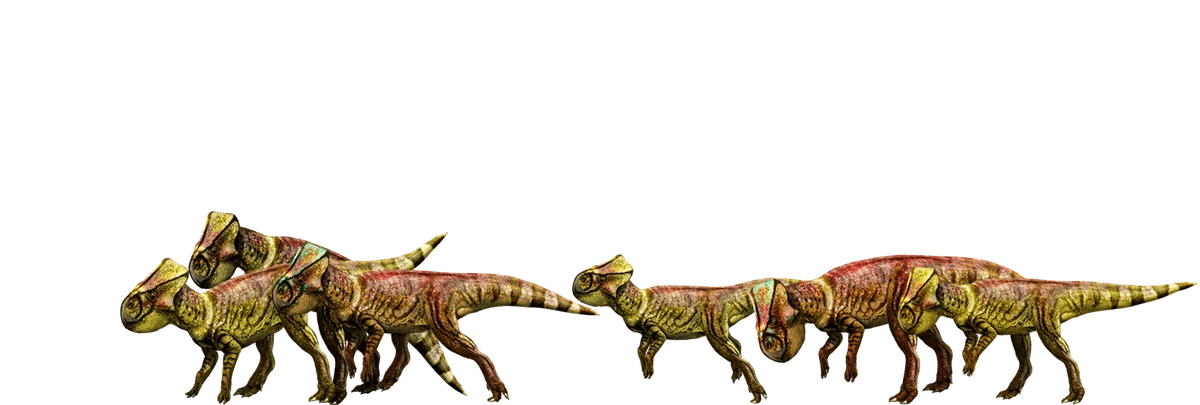 Microceratus (LK) | Jurassic Park Fanon Wiki | Fandom
