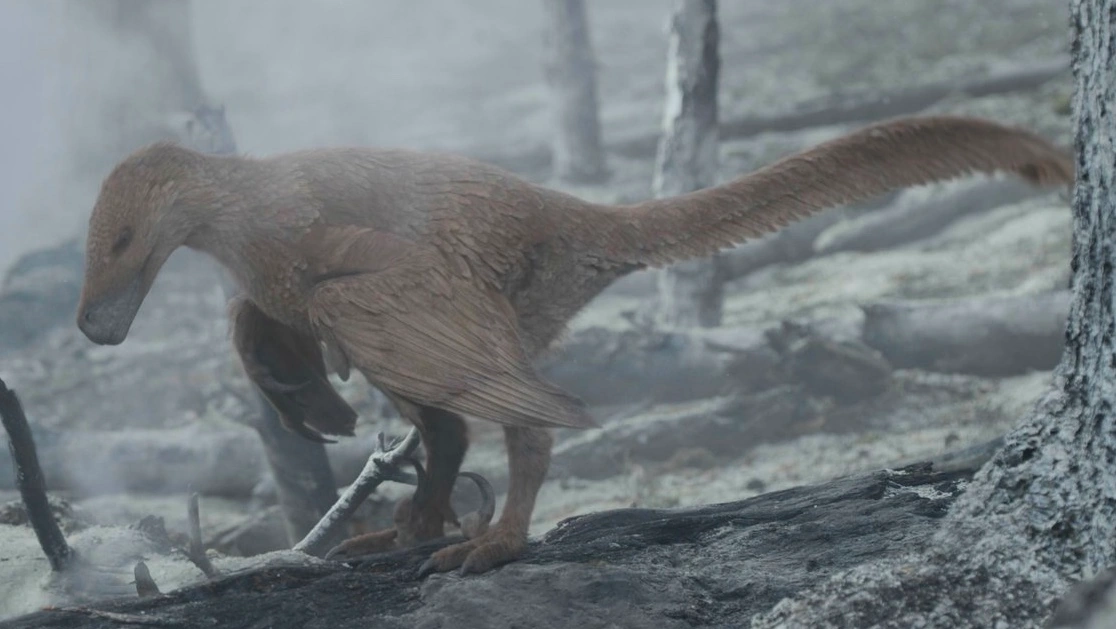 Atrociraptor (TexRex) | Jurassic Park Fanon Wiki | Fandom