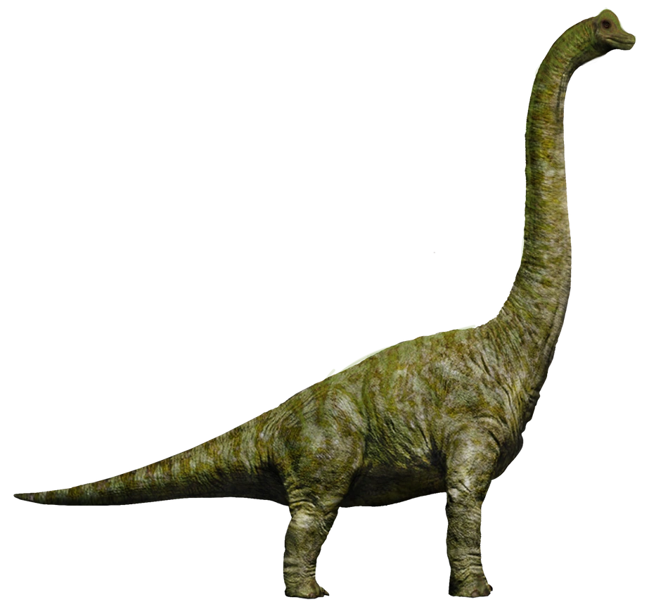 Brachiosaurus (TR) | Jurassic Park Fanon Wiki | Fandom
