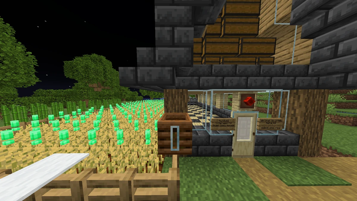 4unduck's Quiet Cozy House | Japan-Italy-Siberia Minecraft SMP Wiki ...