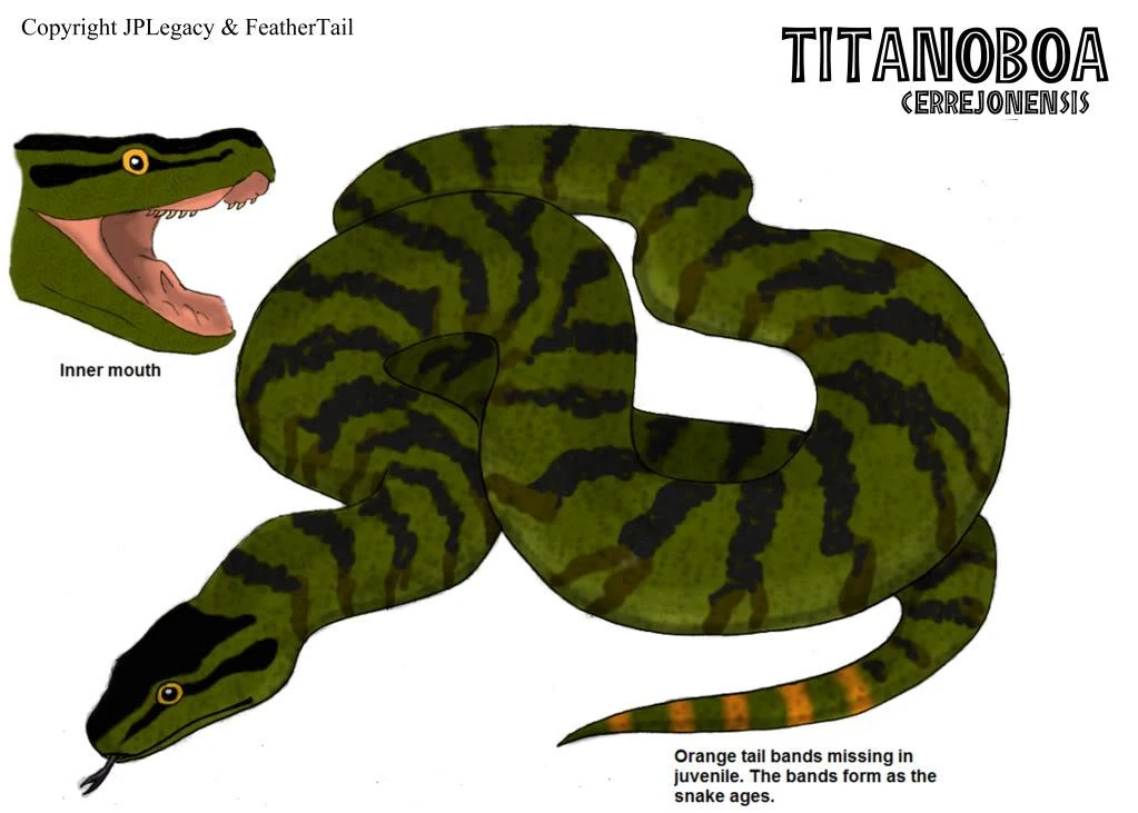 Titanoboa Vs Deinosuchus