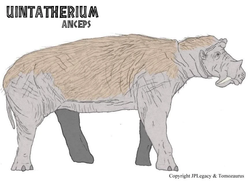 Uintatheirum anceps | JPL Live the Legend Wiki | Fandom