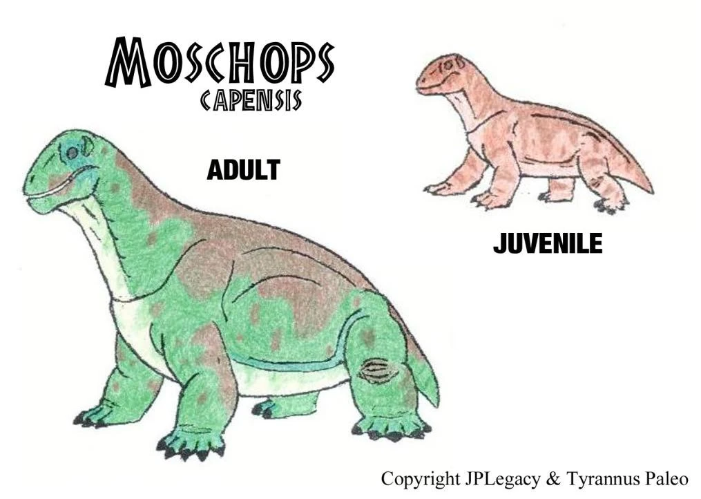Moschops capensis | JPL Live the Legend Wiki | Fandom