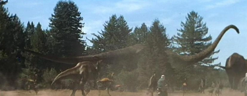 Zhang | JPL Live the Legend Wiki | Fandom