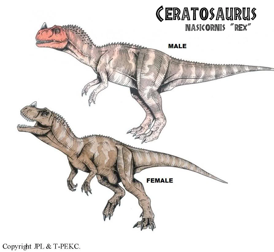 Ceratosaurus nasicornis "rex" (?) | JPL Live the Legend Wiki | Fandom