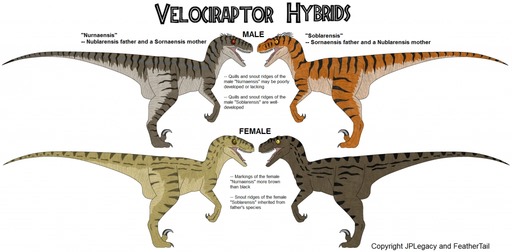 Velociraptor hybrids | JPL Live the Legend Wiki | Fandom