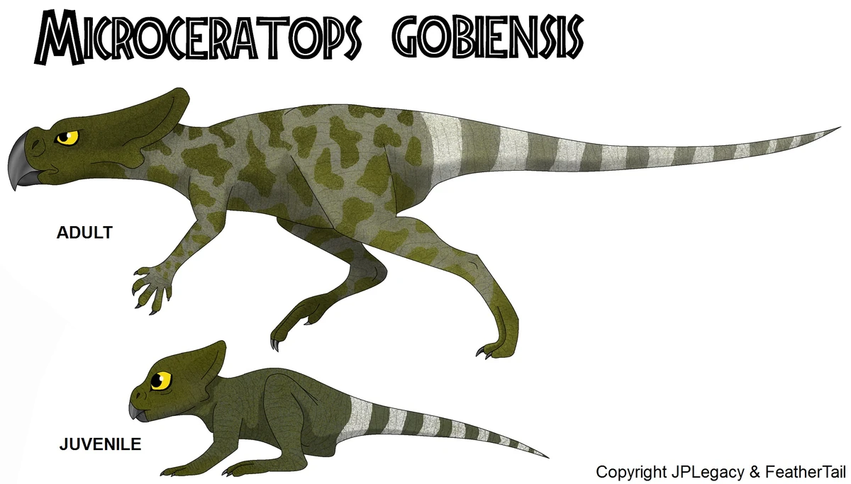 Microceratus gobiensis (Microceratops) | JPL Live the Legend Wiki | Fandom