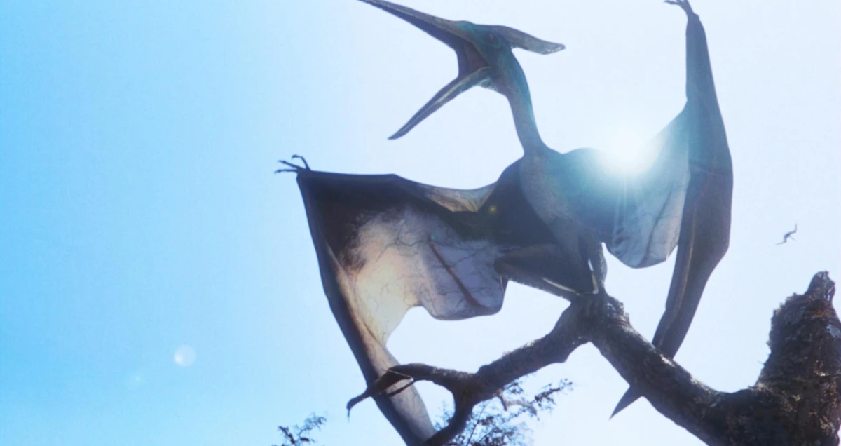 Pteranodon longiceps “sternbergi” | JPL Live the Legend Wiki | Fandom