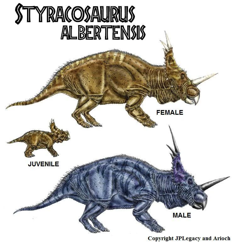 Styracosaurus albertensis | JPL Live the Legend Wiki | Fandom