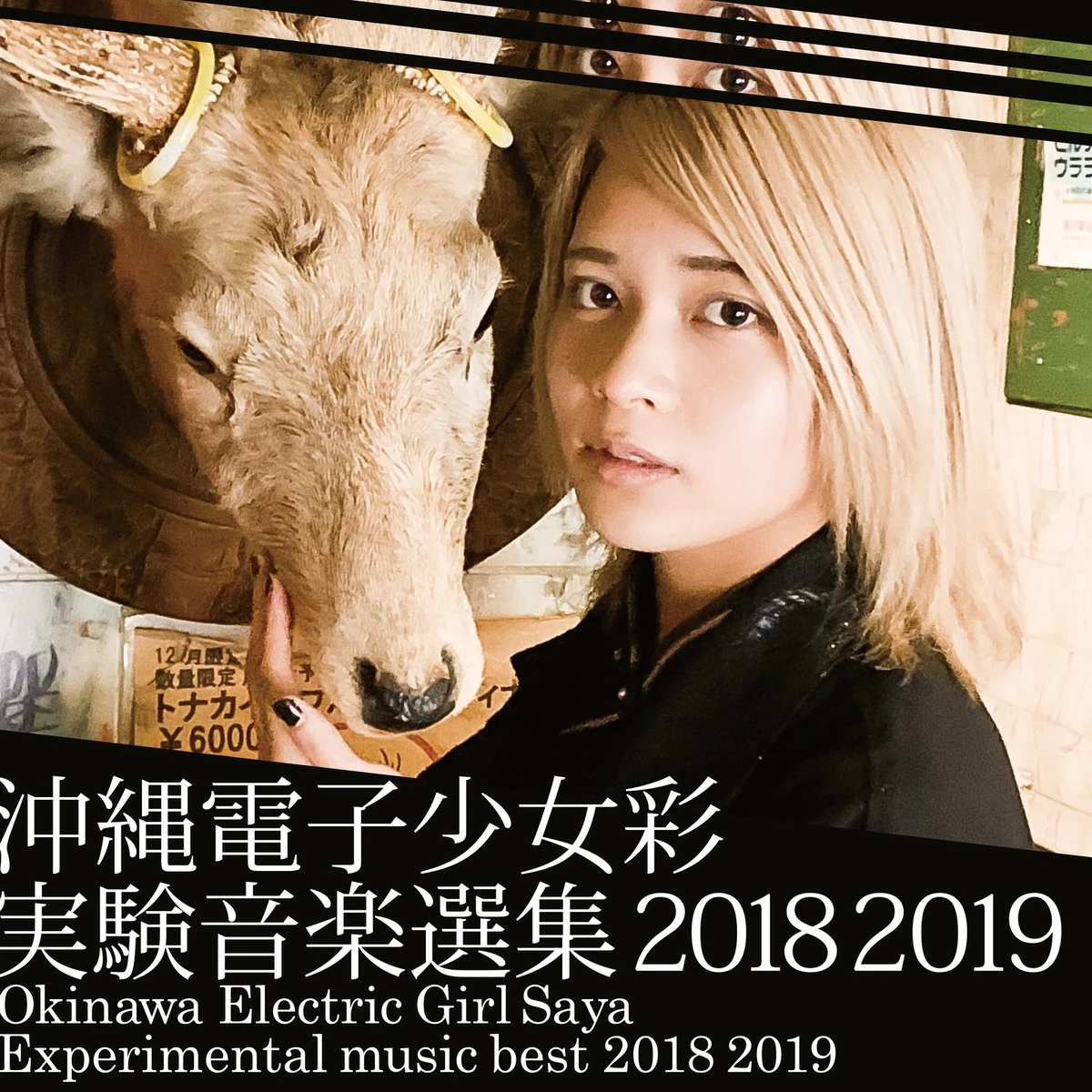 Jikken Ongaku Senshuu 2018~2019 | Jpop Wiki | Fandom