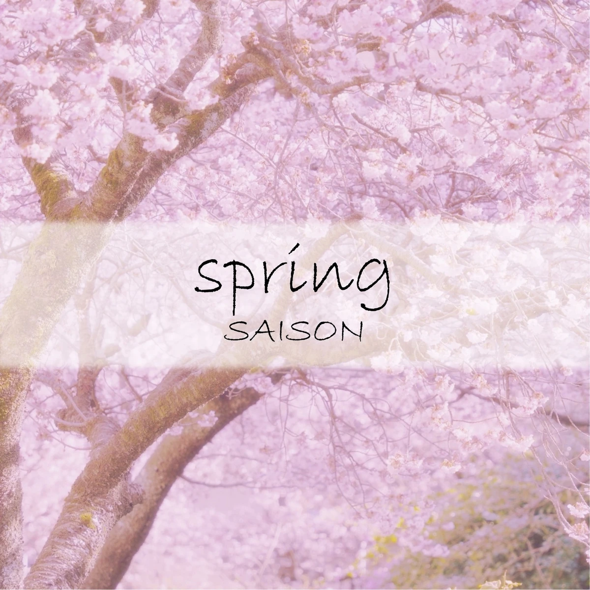 spring | Jpop Wiki | Fandom