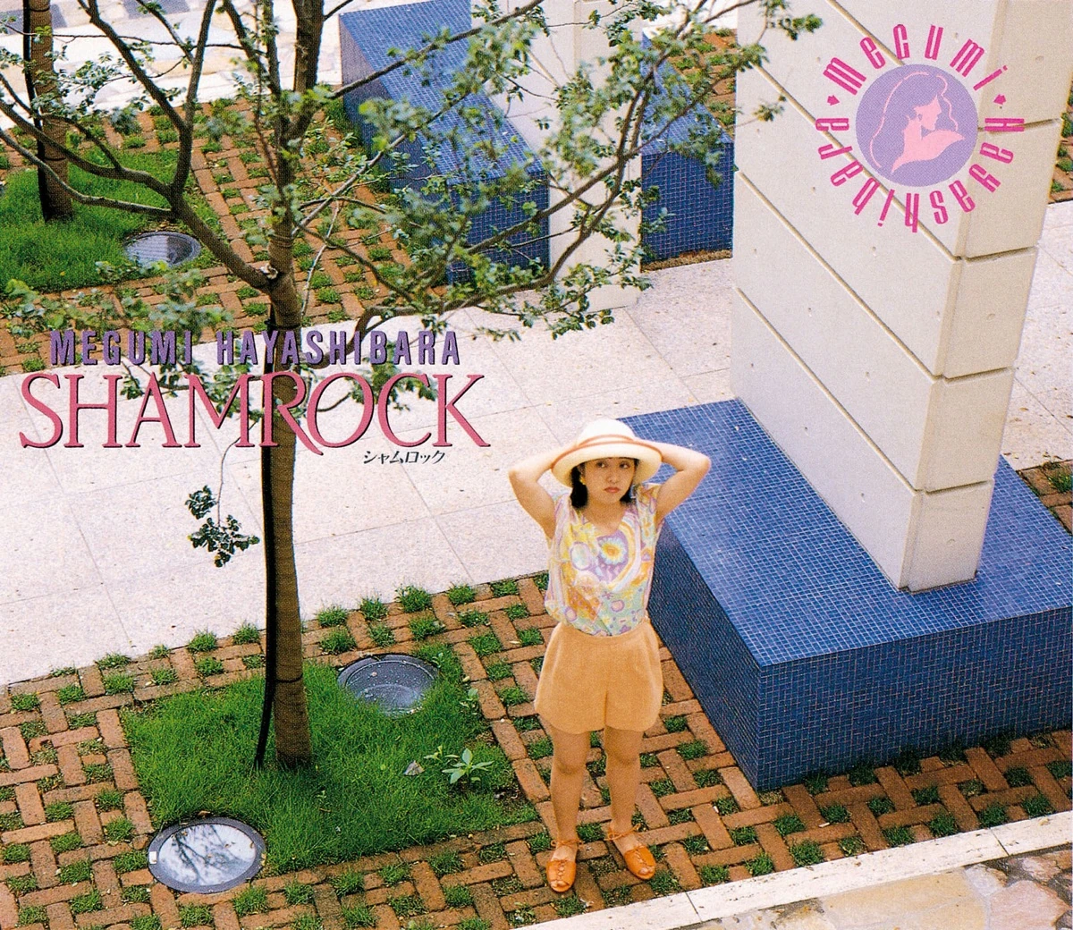 SHAMROCK | Jpop Wiki | Fandom