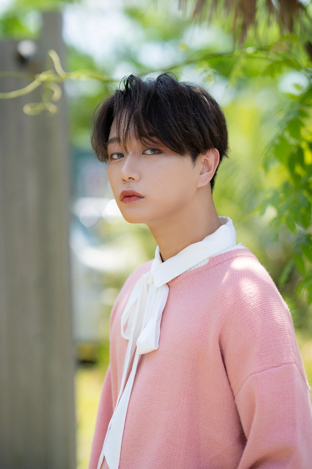 Honda Taichi | Jpop Wiki | Fandom