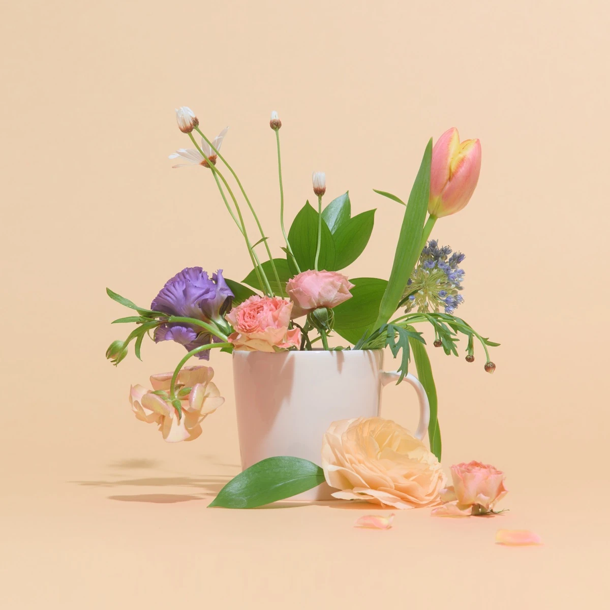 Yell | Jpop Wiki | Fandom