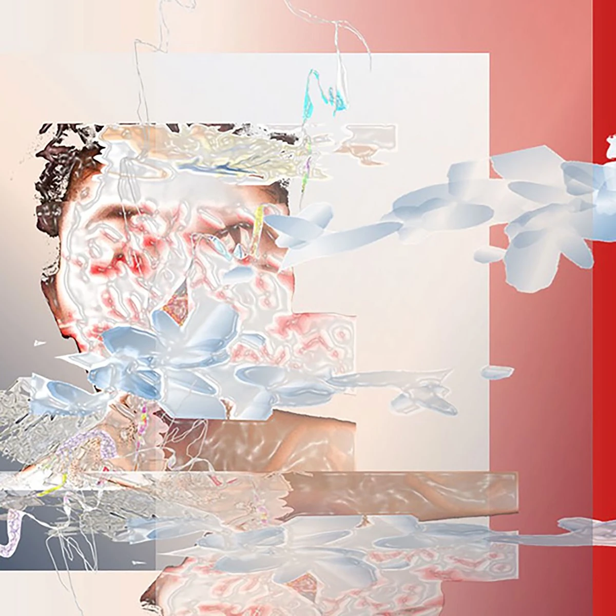 Kinkajou | Jpop Wiki | Fandom