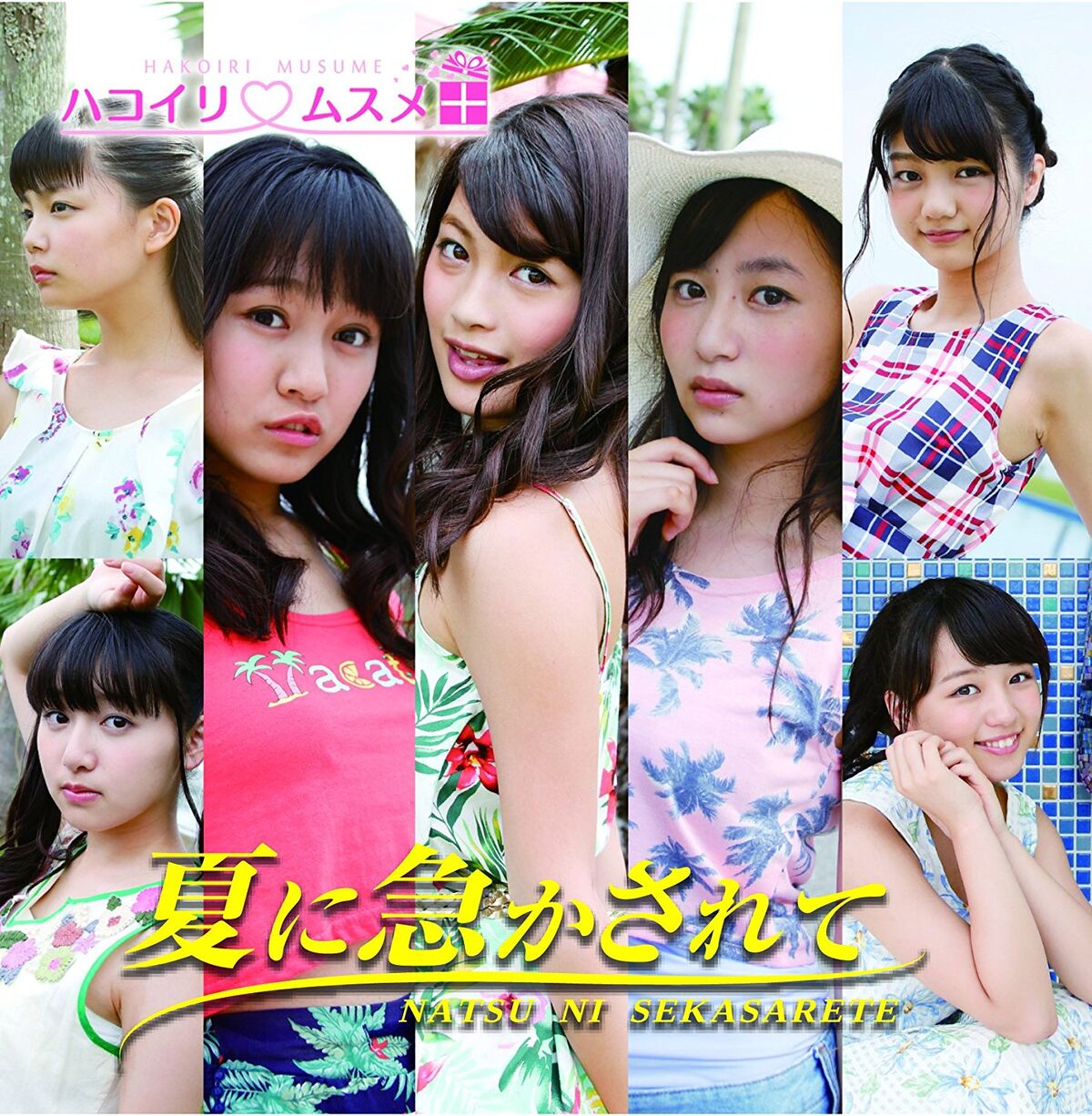 Natsu Ni Sekasarete Jpop Wiki Fandom