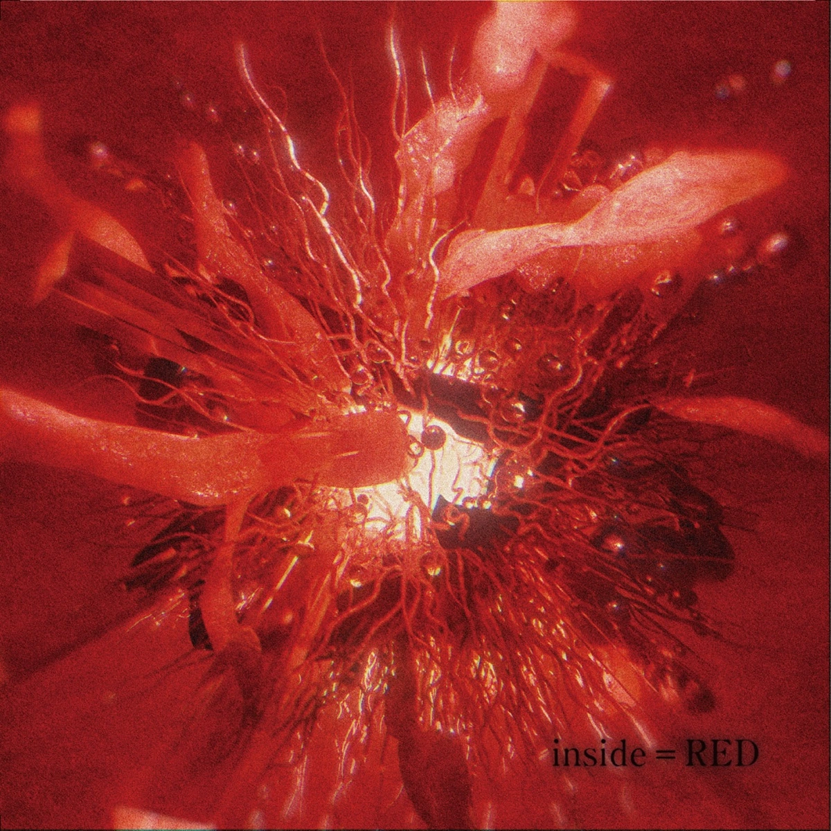 inside = RED | Jpop Wiki | Fandom