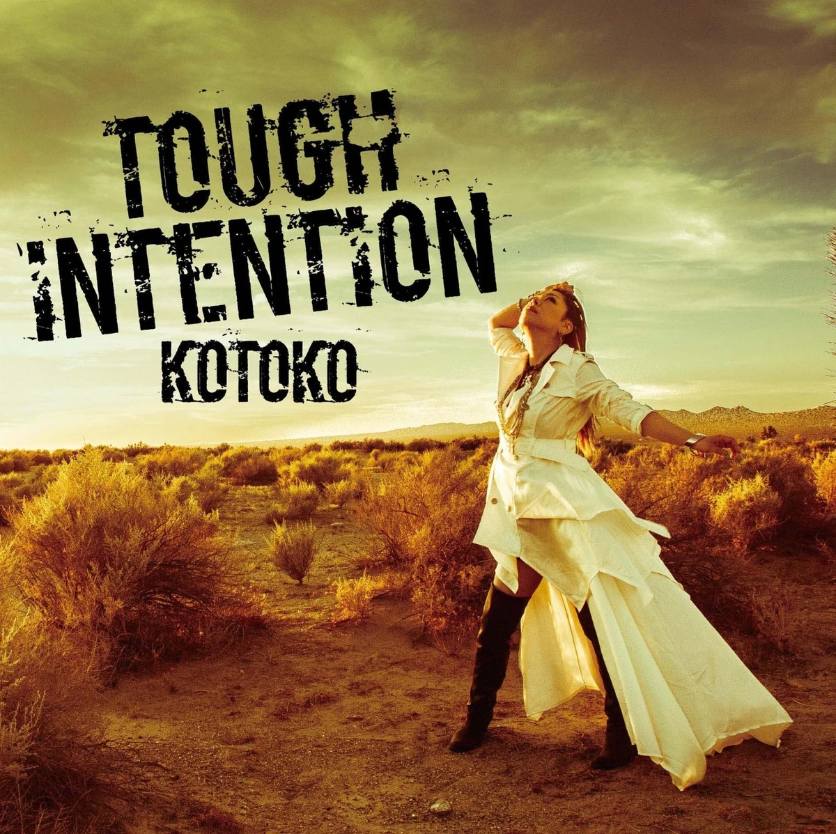 TOUGH INTENTION | Jpop Wiki | Fandom