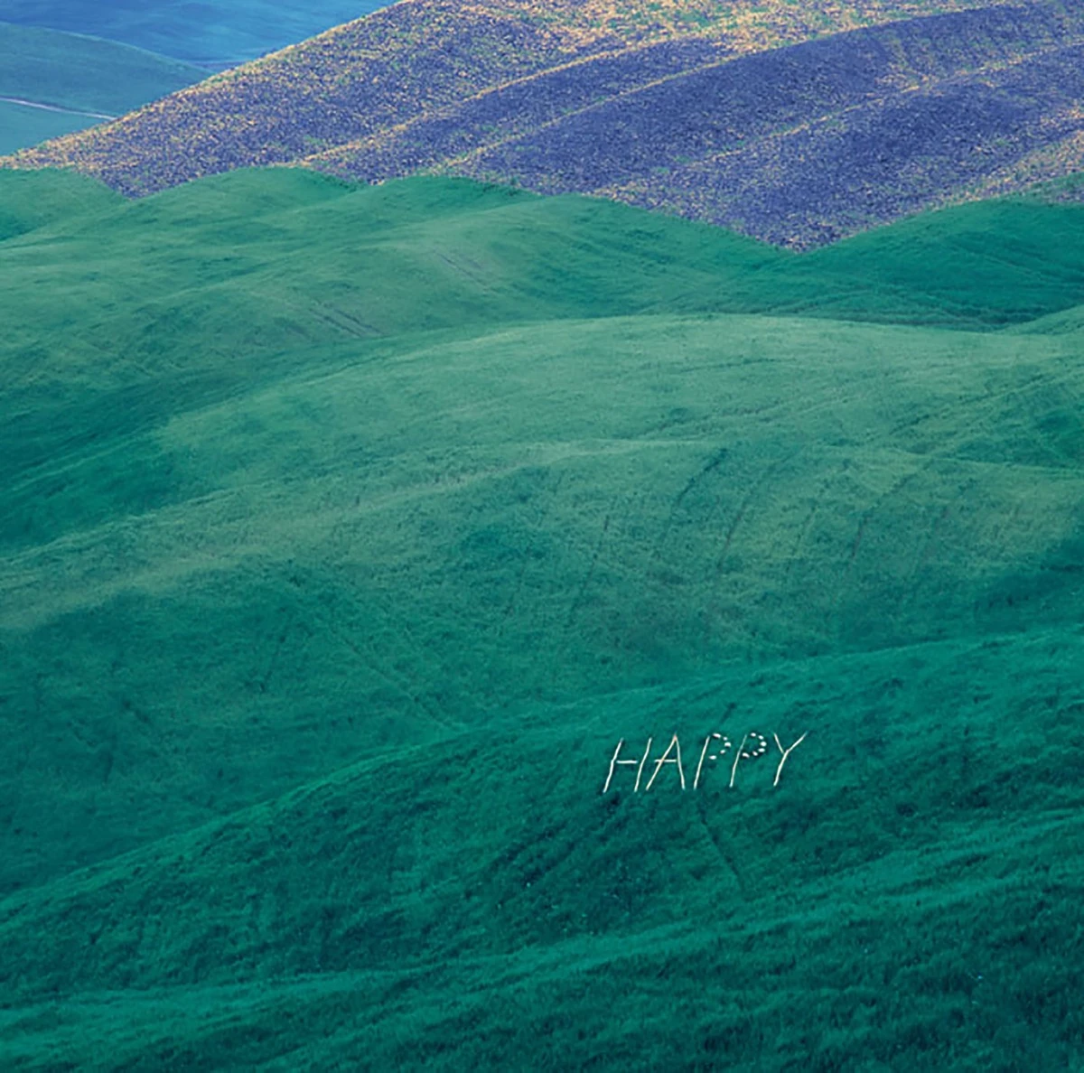 HAPPY | Jpop Wiki | Fandom