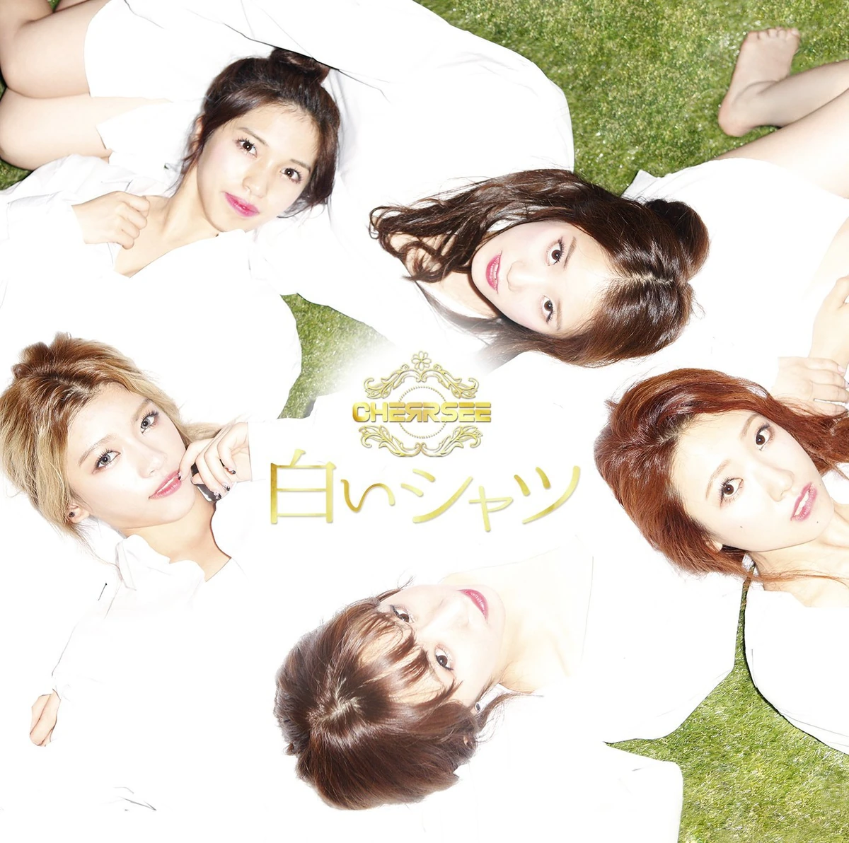 Shiroi Shirt | Jpop Wiki | Fandom