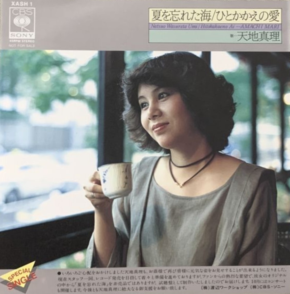 Natsu Wo Wasureta Umi Hito Kakae No Ai Jpop Wiki Fandom