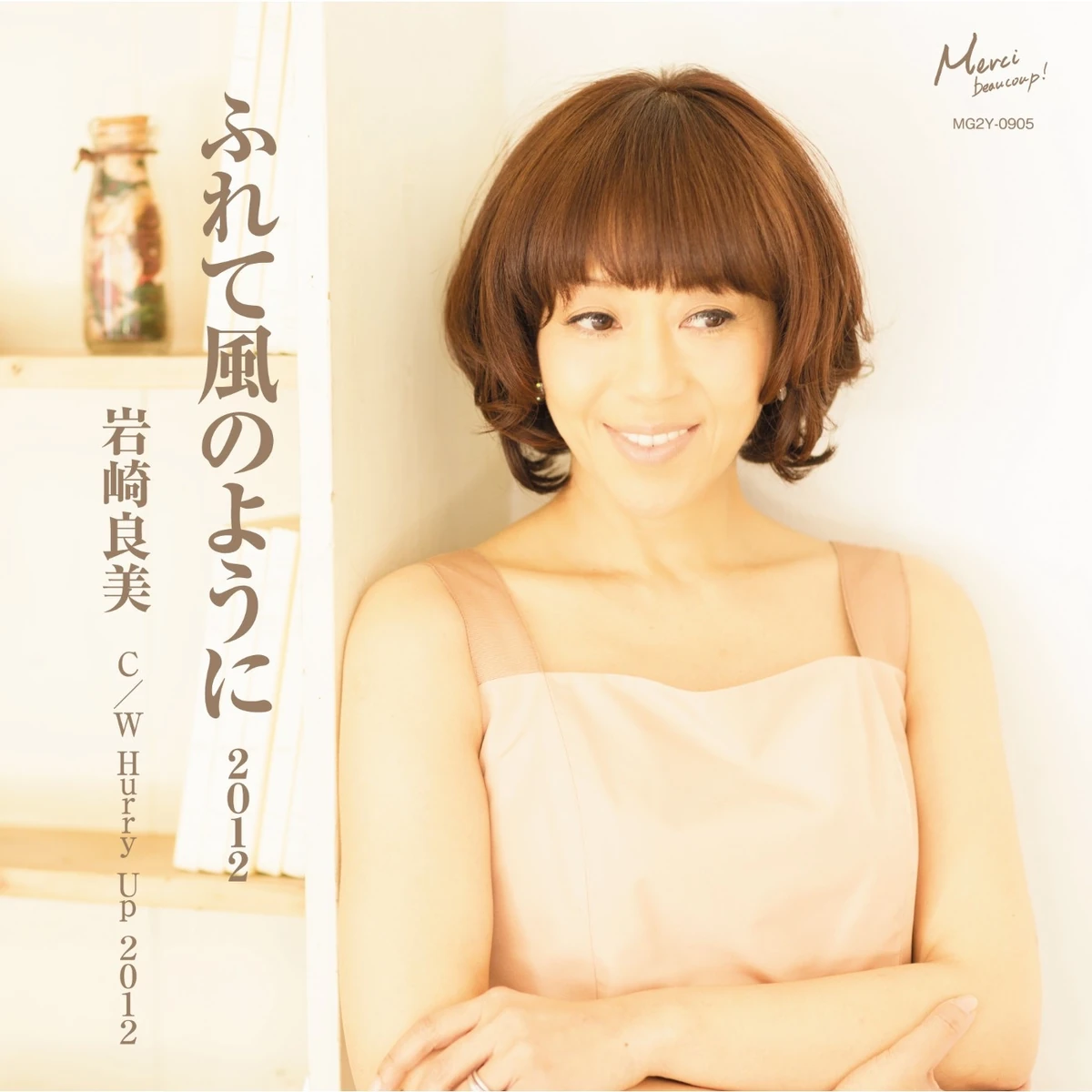 Furete Kaze no You ni 2012 | Jpop Wiki | Fandom