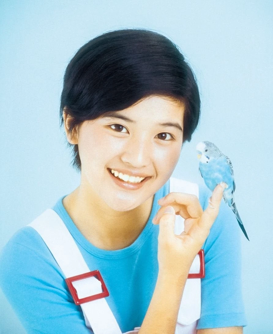 Sakurada Junko | Jpop Wiki | Fandom