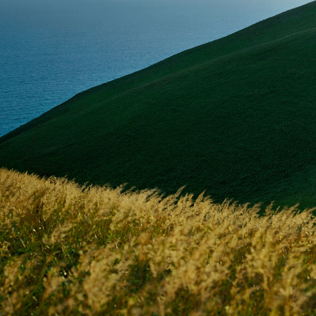 tears | Jpop Wiki | Fandom