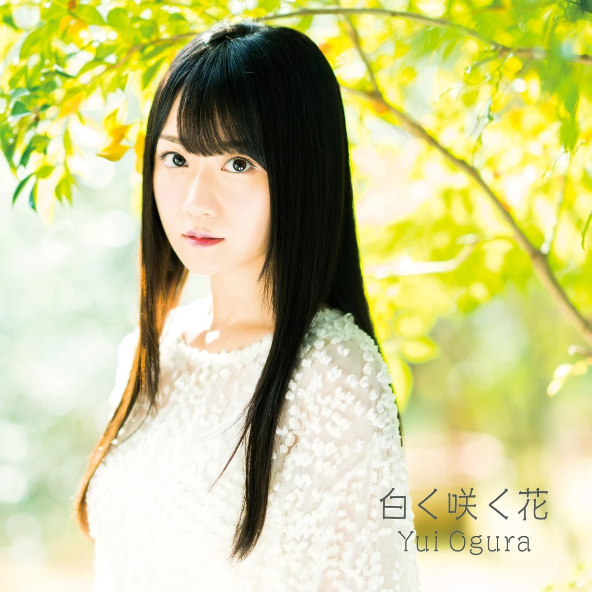 Shiroku Saku Hana | Jpop Wiki | Fandom