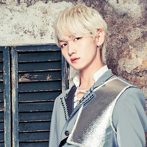 LIGHT | Jpop Wiki | Fandom