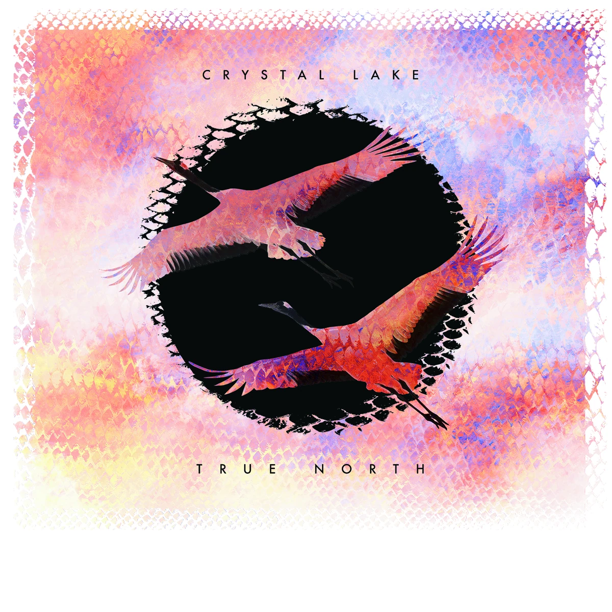 True North | Jpop Wiki | Fandom