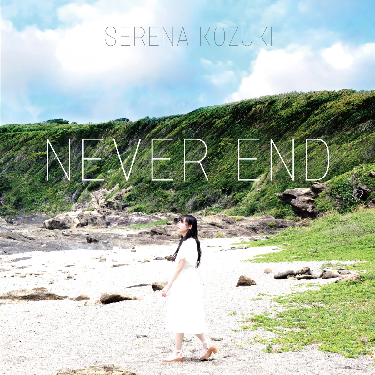 NEVER END | Jpop Wiki | Fandom