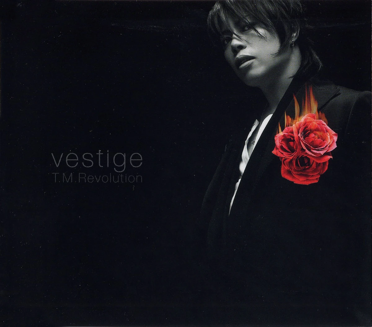 vestige | Jpop Wiki | Fandom