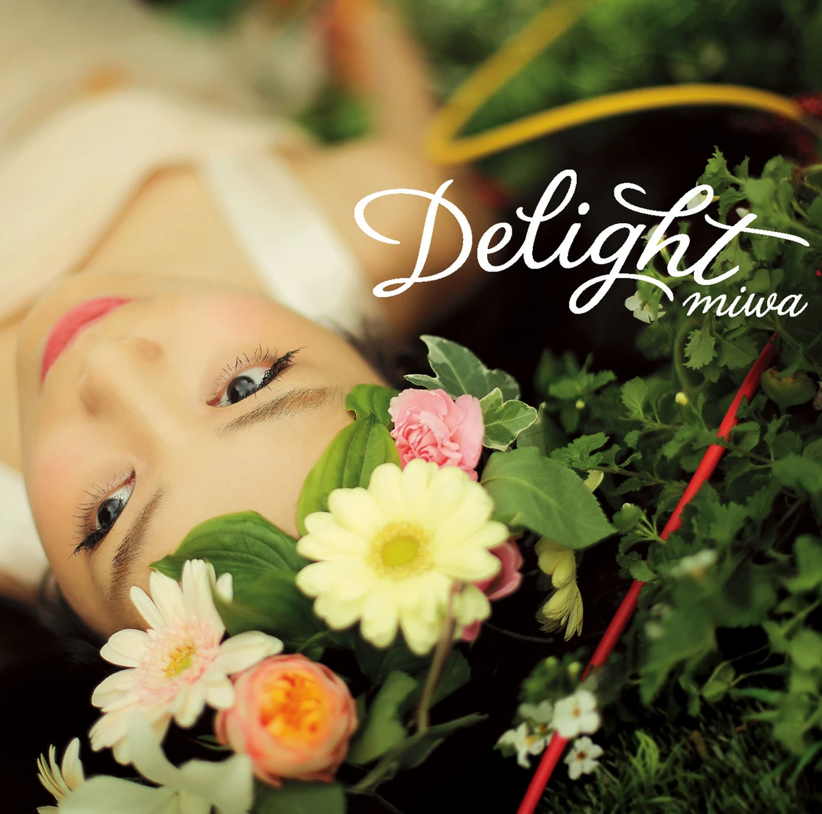 Delight | Jpop Wiki | Fandom