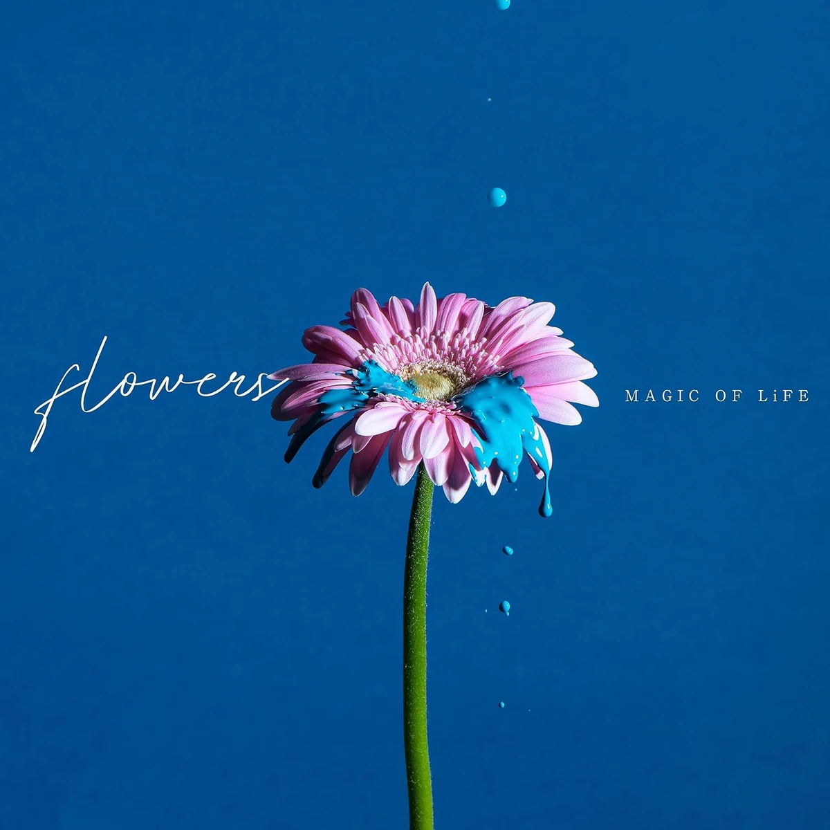 flowers | Jpop Wiki | Fandom