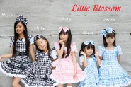 Little Blossom | Jpop Wiki | Fandom