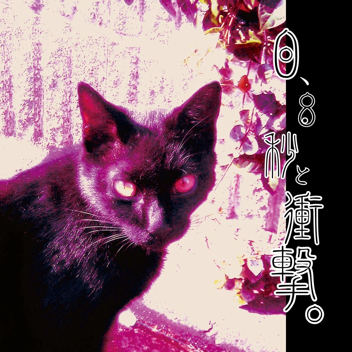 Zoo&LENNON | Jpop Wiki | Fandom