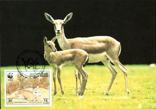 Bahrain 1993 WWF - Sand Gazelle | JPP-Stamps Wiki | Fandom