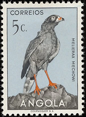 Angola 1951 Birds from Angola | JPP-Stamps Wiki | Fandom