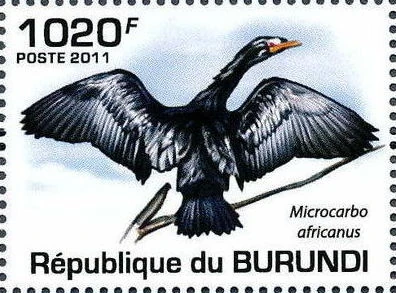 Burundi 2011 Birds of Burundi | JPP-Stamps Wiki | Fandom