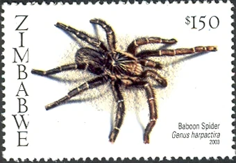 Zimbabwe 2003 Spiders | JPP-Stamps Wiki | Fandom