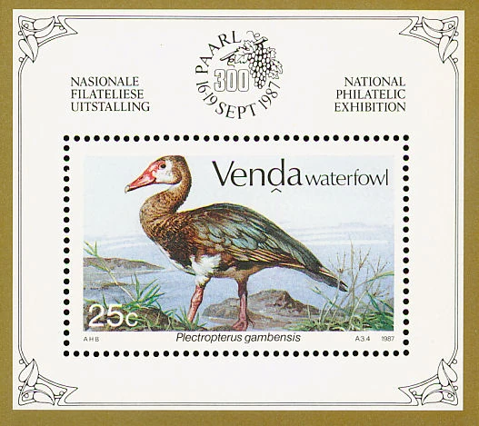 Venda 1987 Ducks | JPP-Stamps Wiki | Fandom