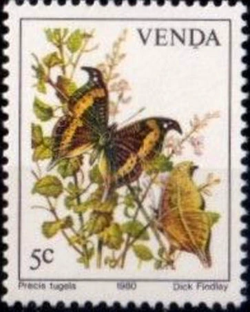 Venda 1980 Butterflies | JPP-Stamps Wiki | Fandom