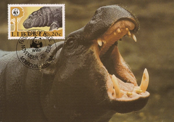 Liberia 1984 WWF - Pygmy hippopotamus | JPP-Stamps Wiki | Fandom