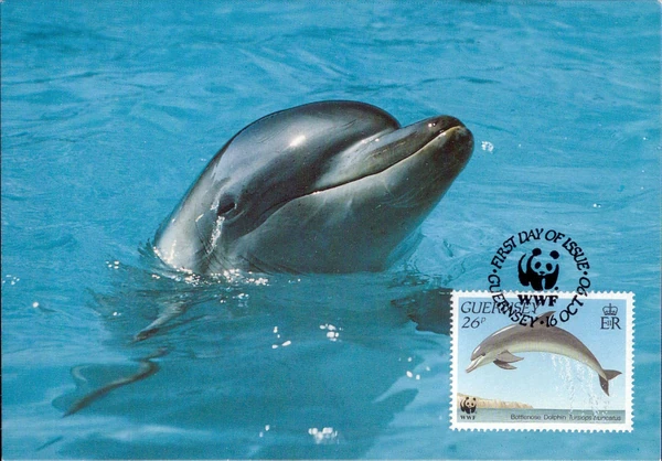 Guernsey 1990 WWF Marine Life | JPP-Stamps Wiki | Fandom