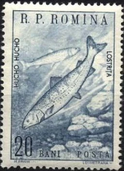 Romania 1960 Romanian fauna | JPP-Stamps Wiki | Fandom