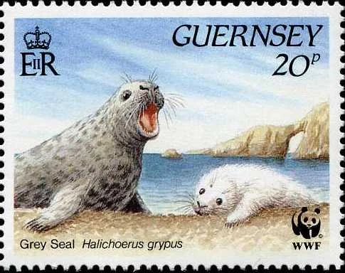 Guernsey 1990 WWF Marine Life | JPP-Stamps Wiki | Fandom